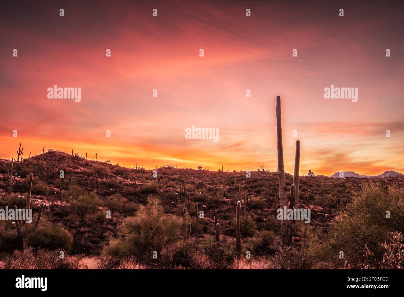 Red mountain phoenix arizona hi-res stock photography and images - Alamy