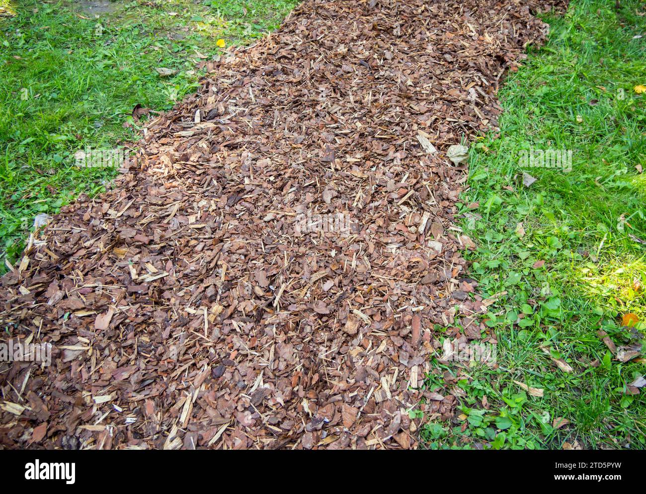Garden path made of strewn tree bark Stock Photo - Alamy