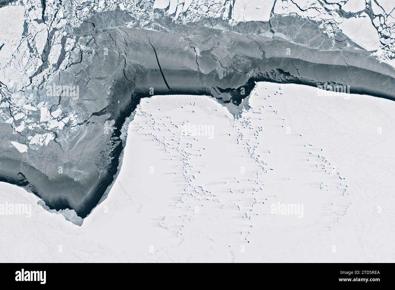 Icebergs in Antarctica trapped in fast ice east of the West Ice Shelf ...