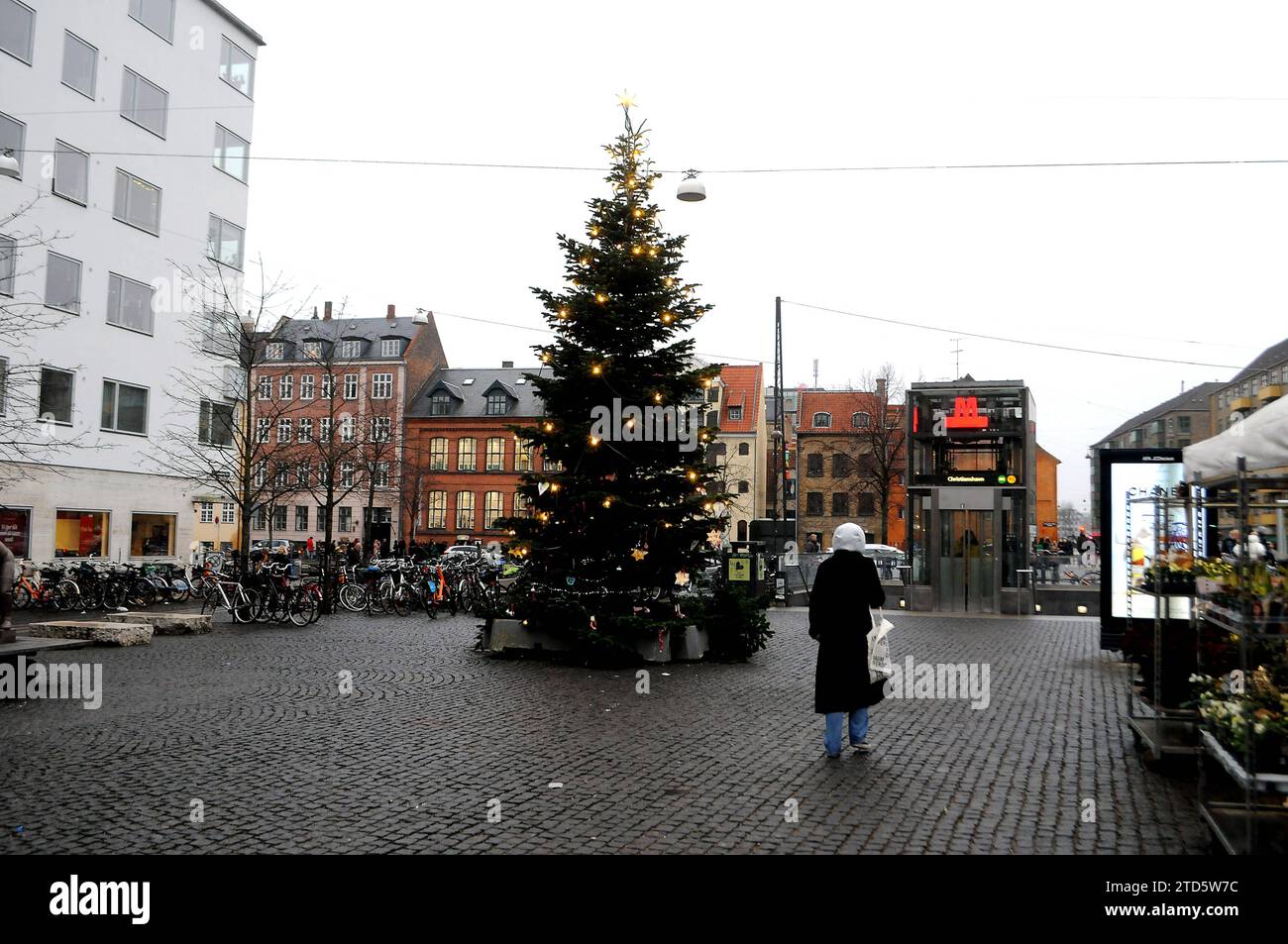 Copenhagen, Denmark /16 December 2023/. Christmas tree placed at ...