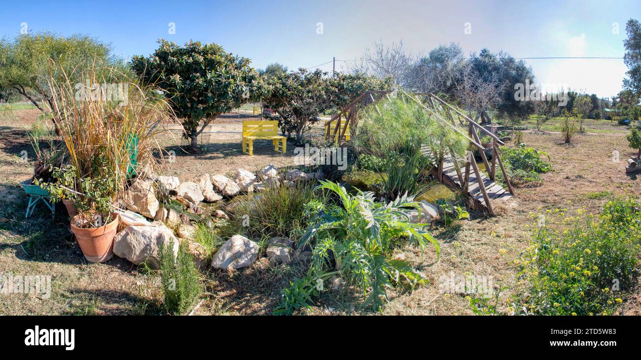 Panorama. Panoramic view of a wild garden with fruit trees, benches ...