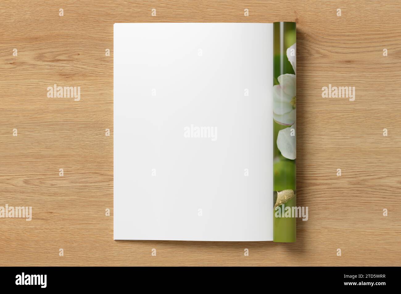 Magazine left-hand page mockup on wooden background. 3d illustration ...
