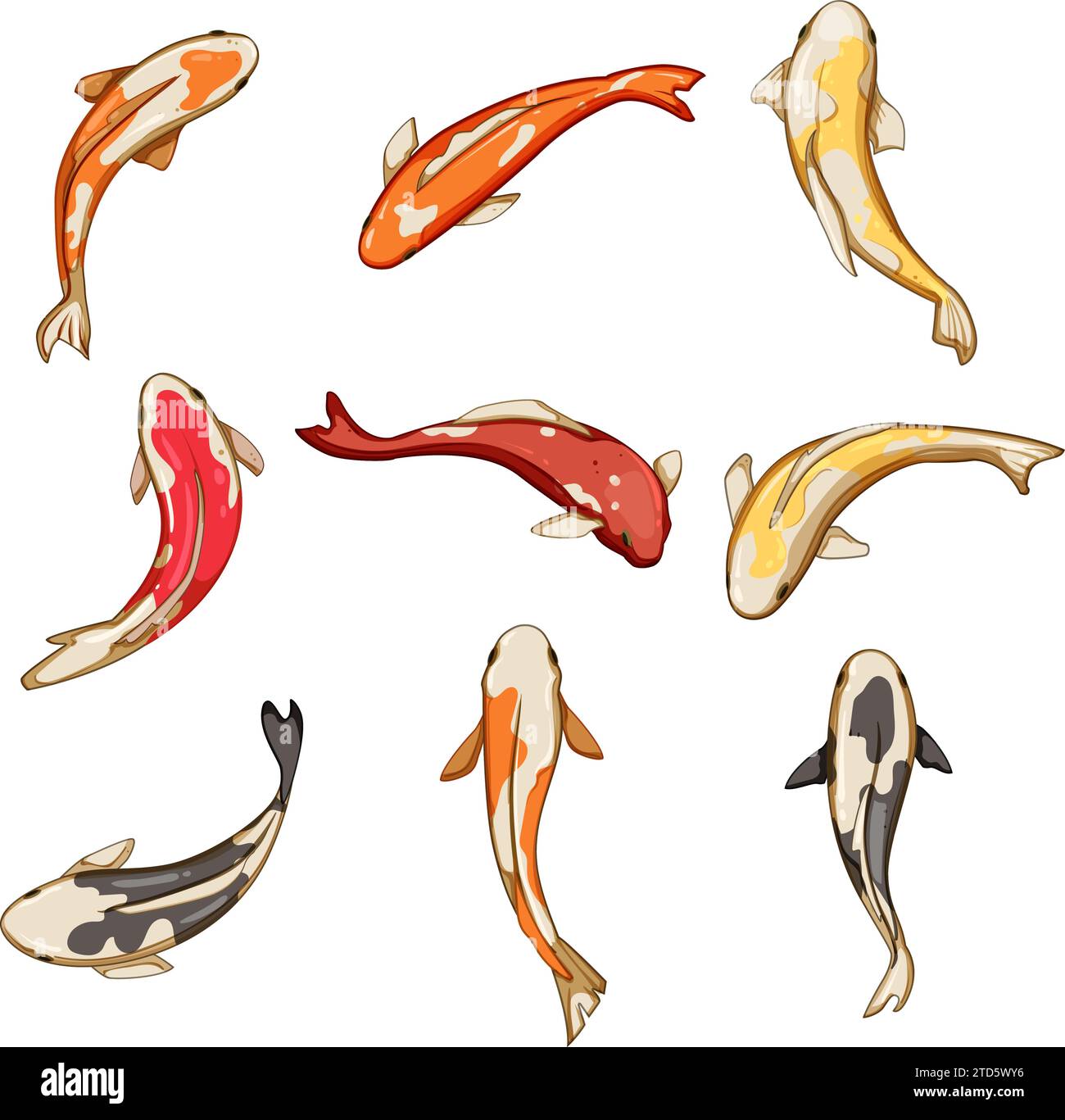 koi fish carp set cartoon vector illustration Stock Vector Image & Art ...