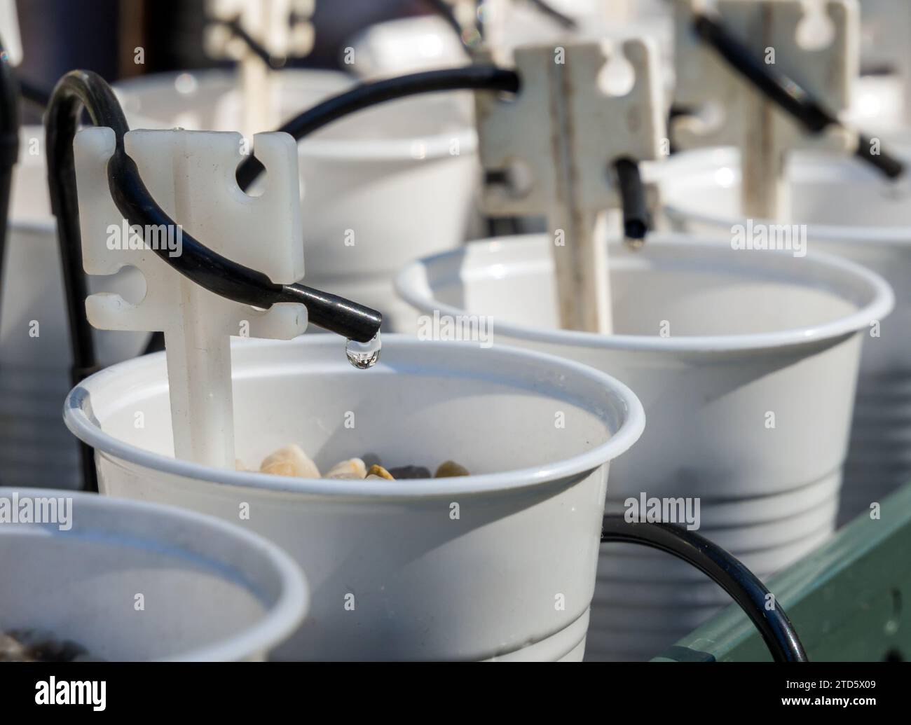 Drip irrigation tubes hi-res stock photography and images - Alamy