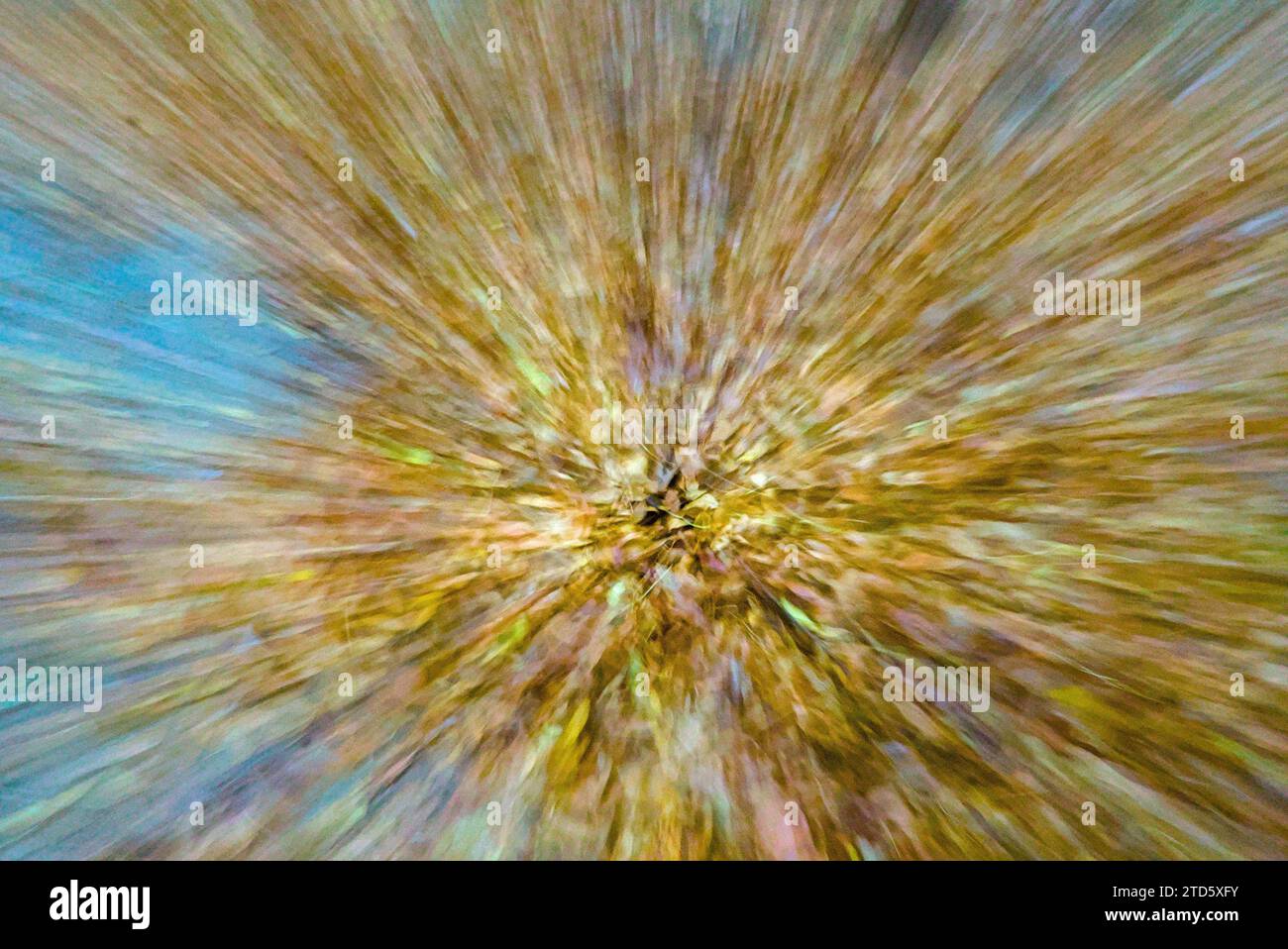 Camera movement blurred fresh green hi-res stock photography and images ...