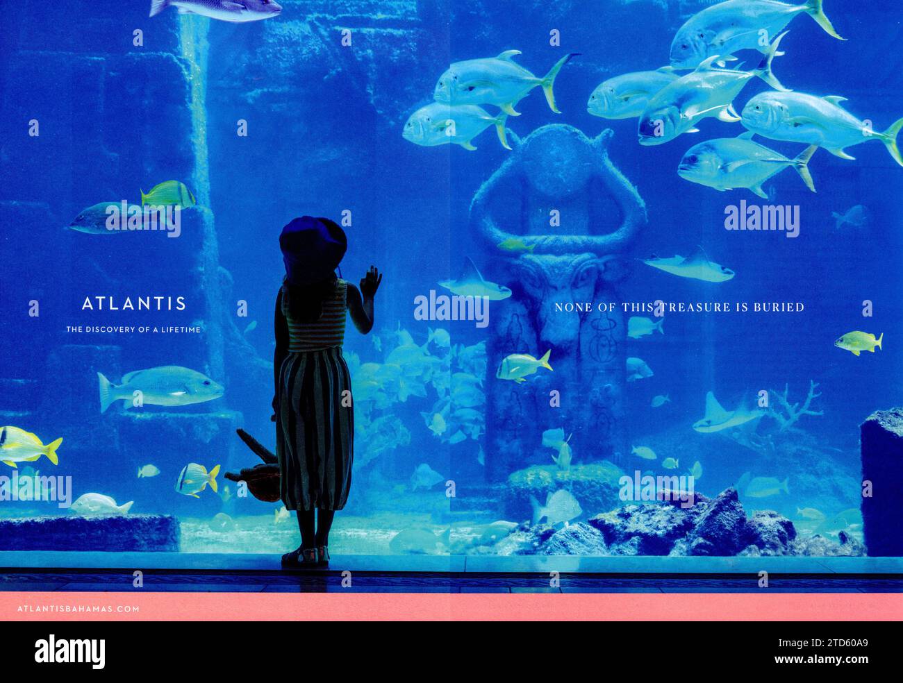 2023 2024 2023 2024 hi-res stock photography and images - Alamy