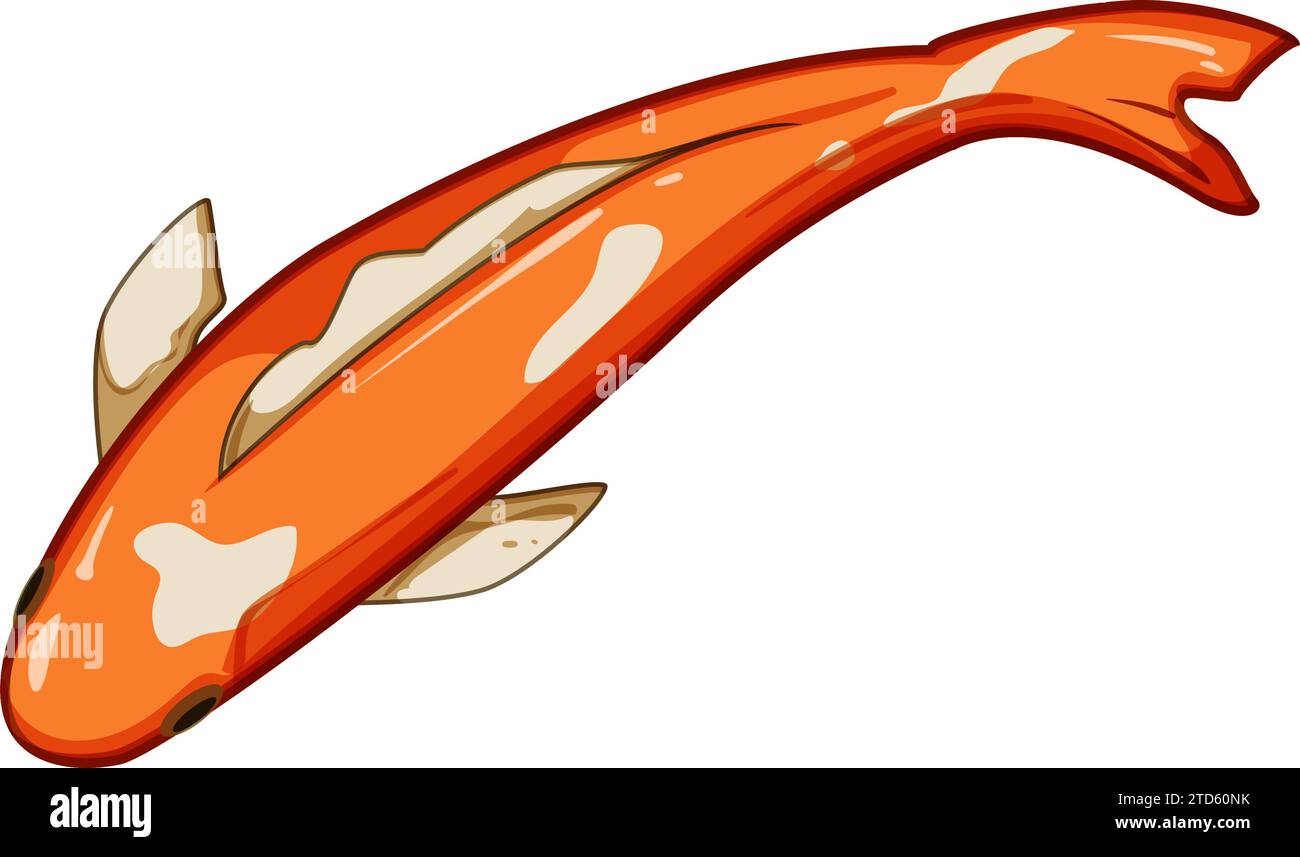 japan koi fish carp cartoon vector illustration Stock Vector Image ...