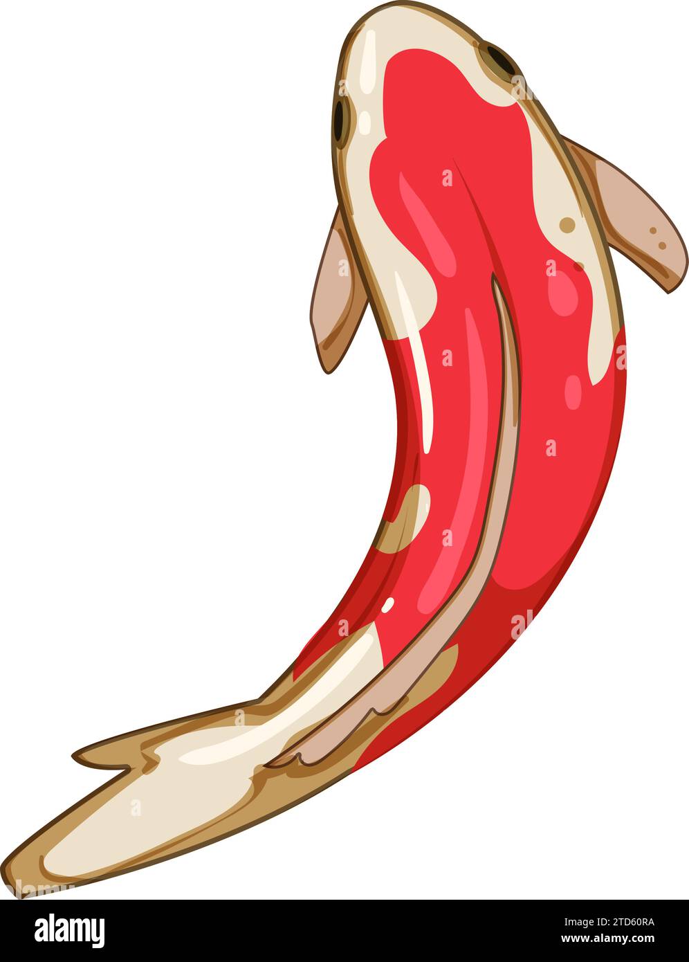 water koi fish carp cartoon vector illustration Stock Vector Image ...