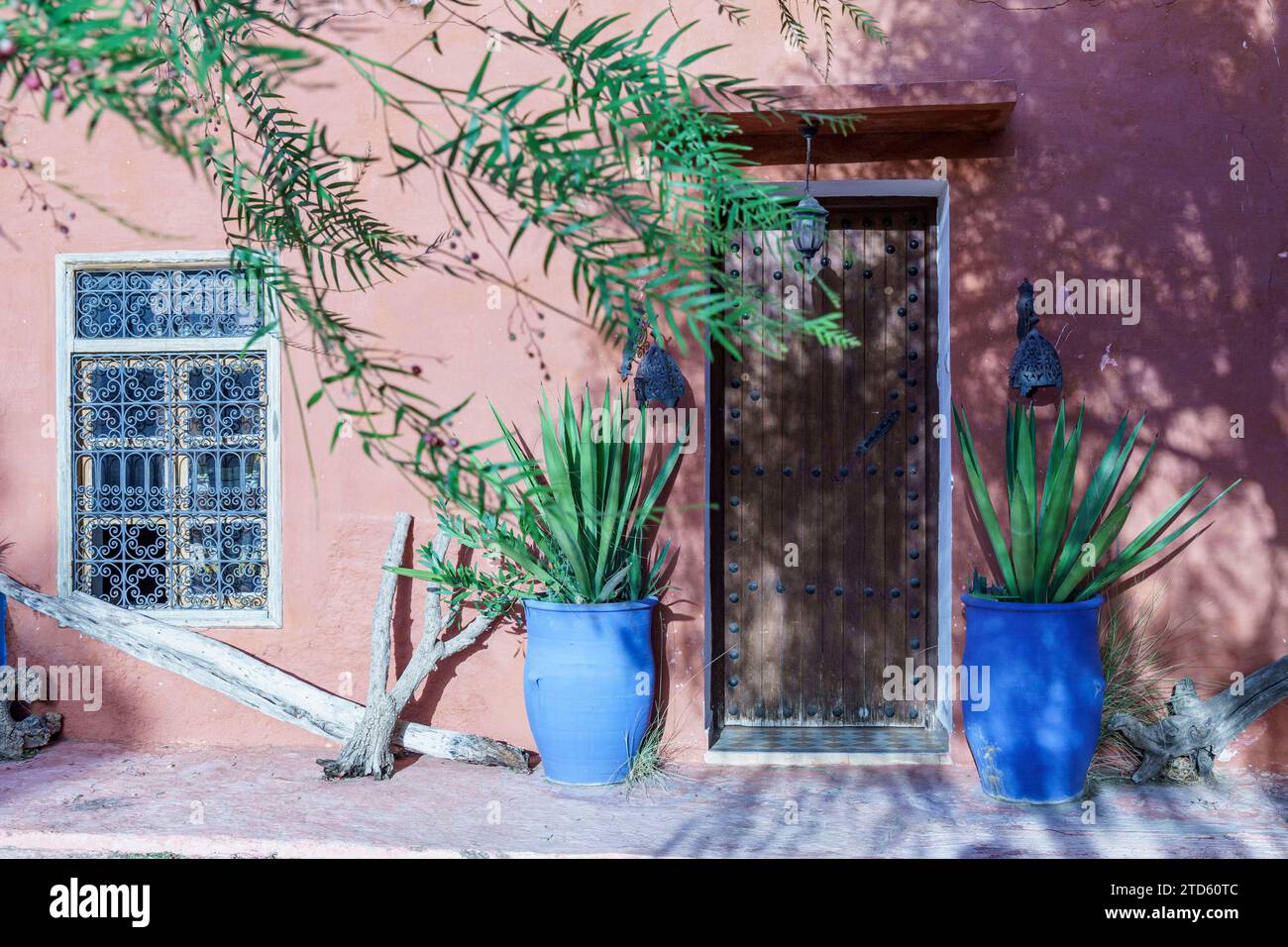 Holiday Morocco Essaouira Beach Sand Architecture Animals Horses Camels ...