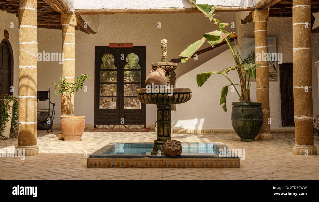 Holiday Morocco Essaouira Beach Sand Architecture Animals Horses Camels ...