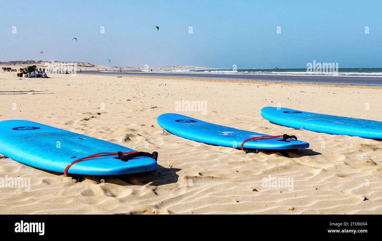 Holiday Morocco Essaouira Beach Sand Architecture Animals Horses Camels ...