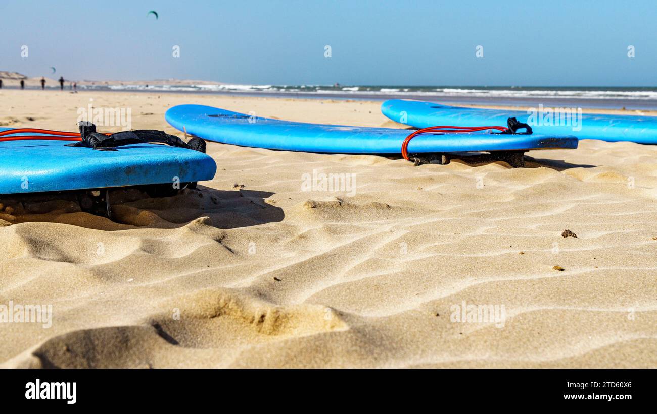 Holiday Morocco Essaouira Beach Sand Architecture Animals Horses Camels ...