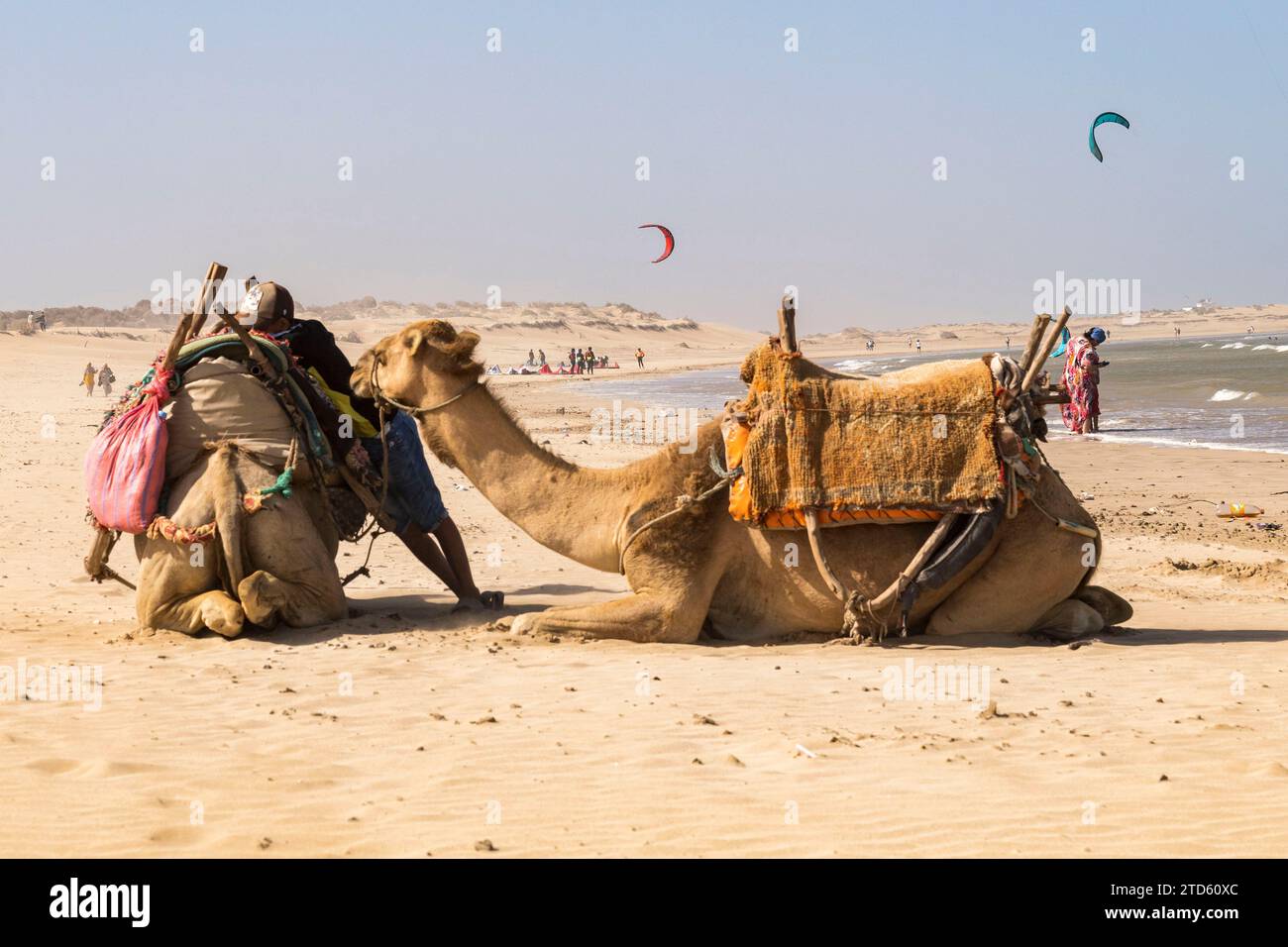 Holiday Morocco Essaouira Beach Sand Architecture Animals Horses Camels ...