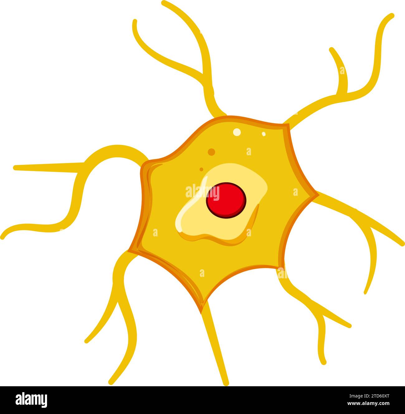 Neuron dendrites brain human Stock Vector Images - Alamy