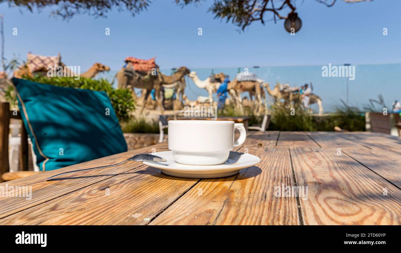 Holiday Morocco Essaouira Beach Sand Architecture Animals Horses Camels ...