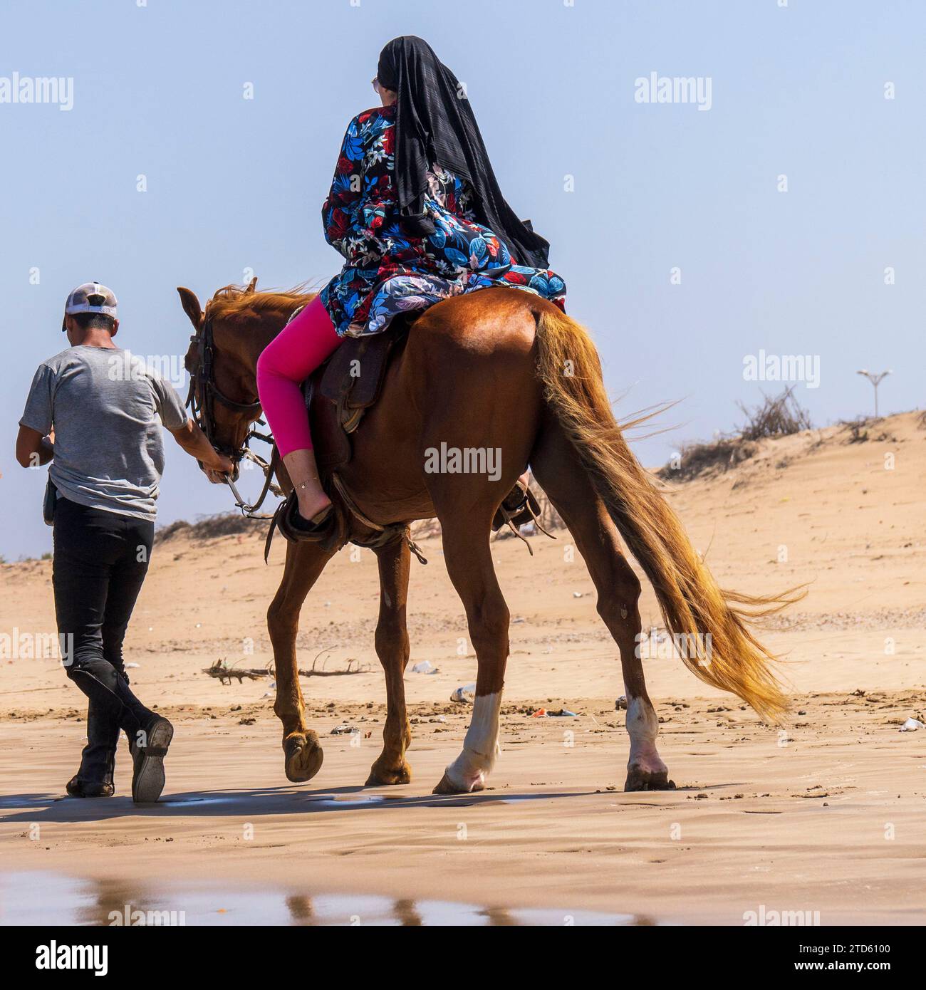 Holiday Morocco Essaouira Beach Sand Architecture Animals Horses Camels ...