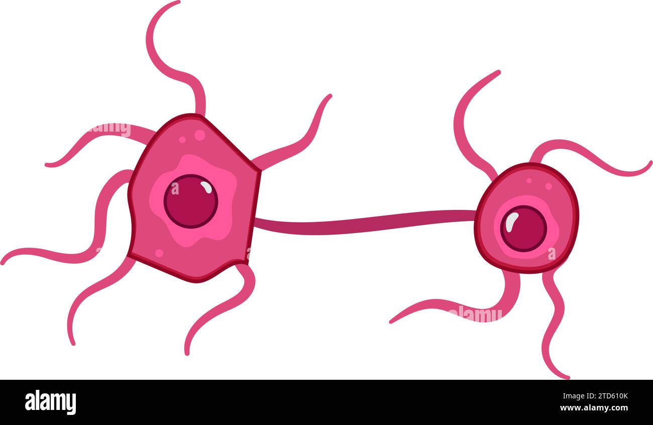 brain neurons cartoon vector illustration Stock Vector Image & Art - Alamy brain neurons cartoon vector illustration Stock Vector Image & Art - Alamy