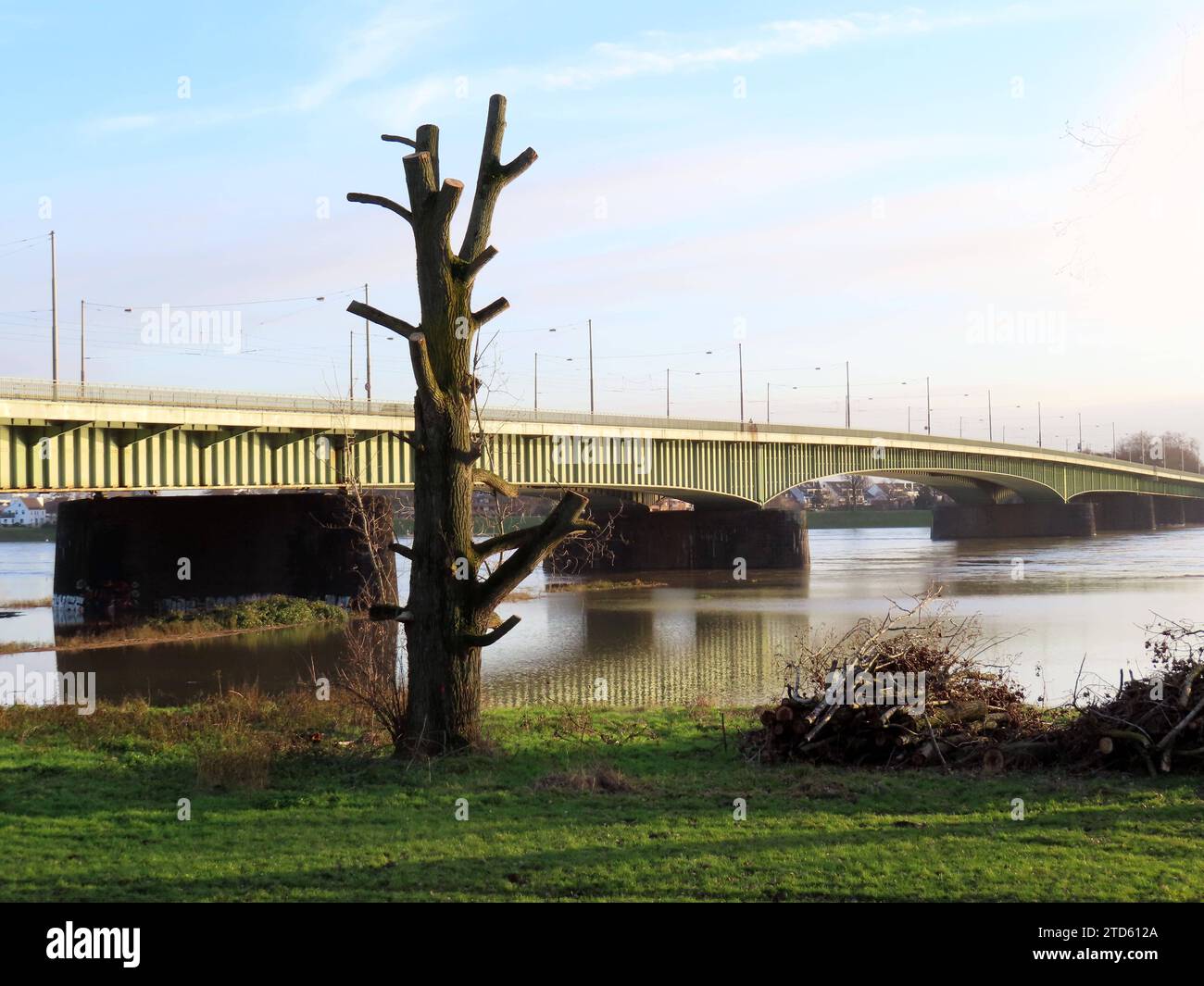 Bliick auf die Josef-Kardinal-Frings-Bruecke zwischen Duesseldorf und ...