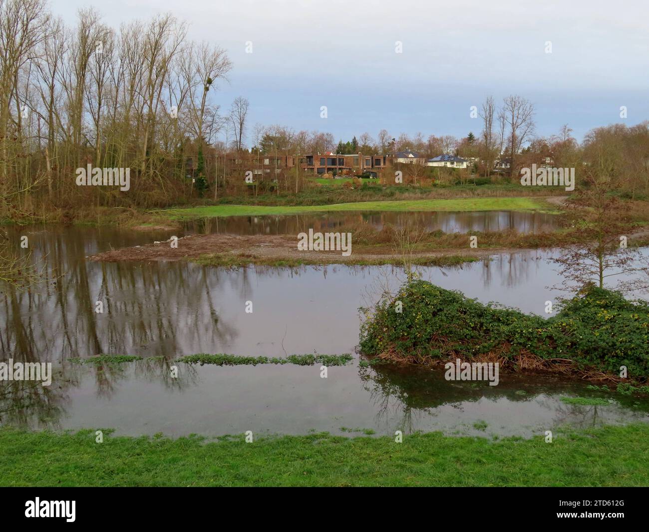 Das Rheinhochwasser drueckt das zufließende Erftwasser zurueck in die ...