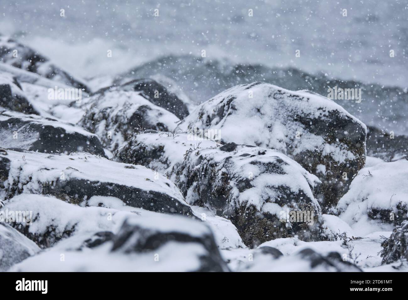 black shore rocks covered in snow during a storm Stock Photo - Alamy