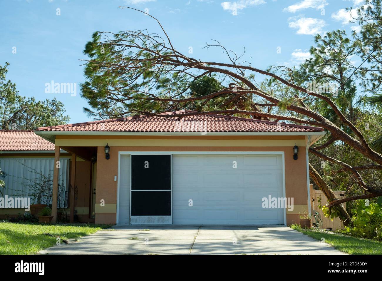 Hurricane damage to a house roof in Florida. Fallen down big tree after ...