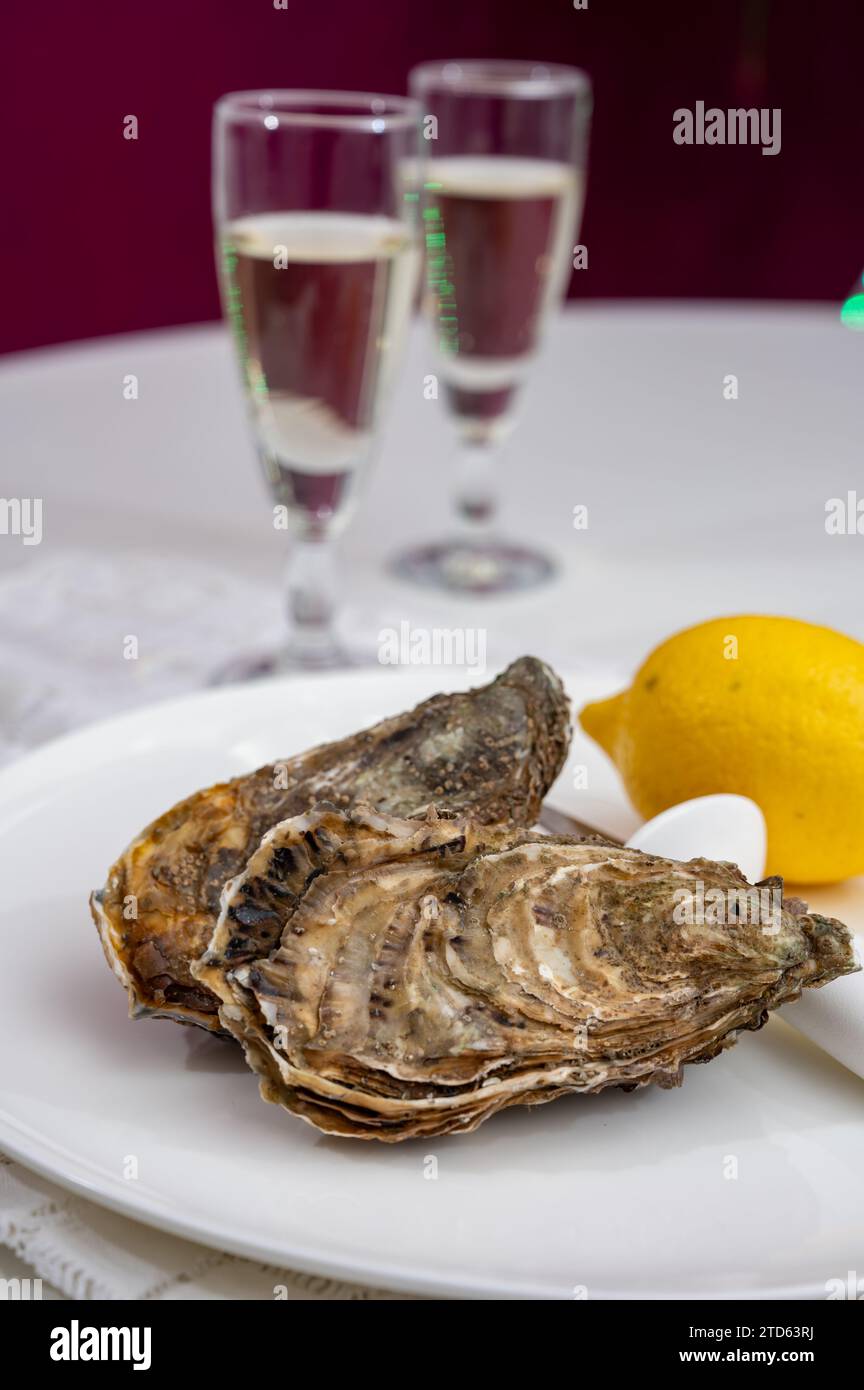Fresh big alive french, dutch, pacific or japanese oysters molluscs ...
