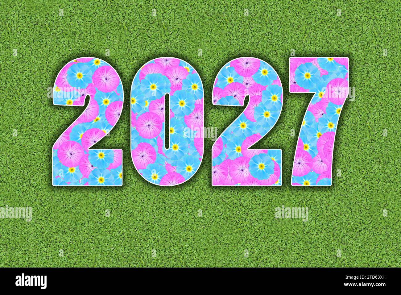 Year, year 2027 written with baby colours, light blue and pink flowers ...