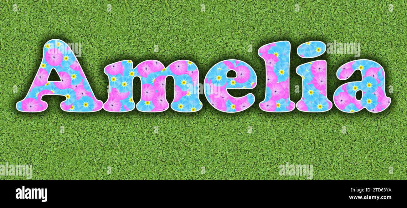 Amelia, one of the ten most popular girls' first names in the USA, 2023 ...