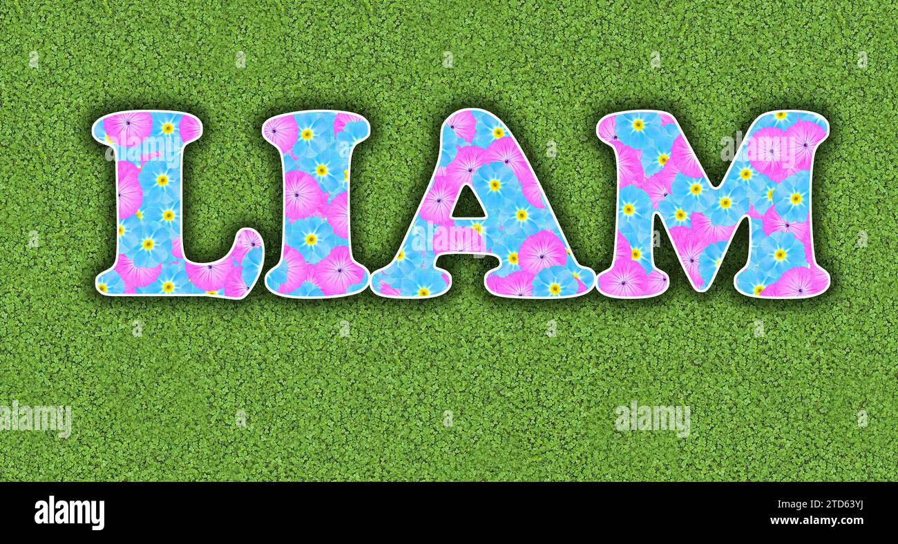 Liam, one of the ten most popular boys' first names in the USA, 2023 ...