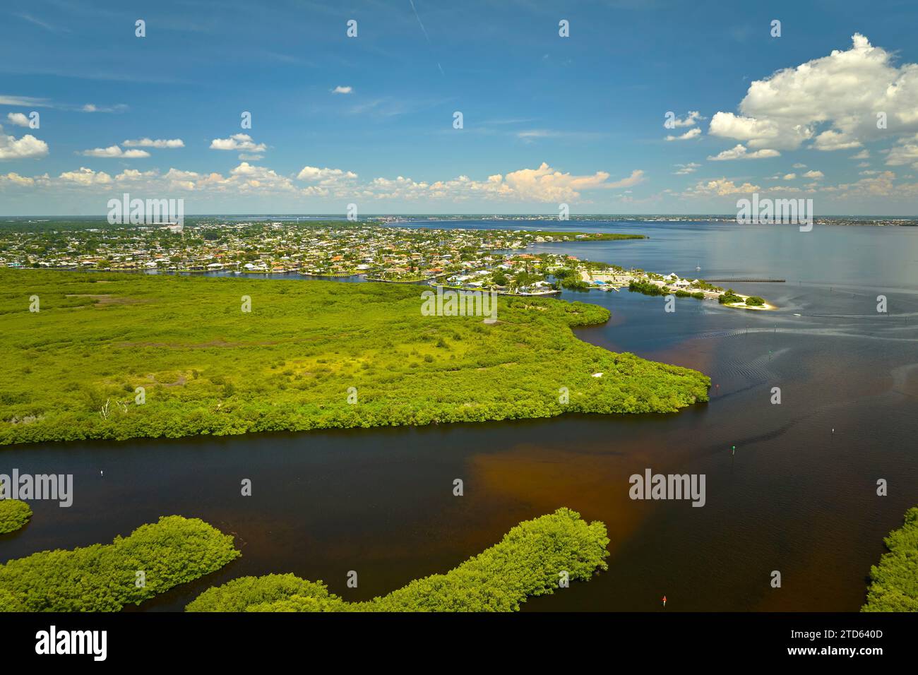 Overhead view of Everglades swamp with green vegetation between water ...