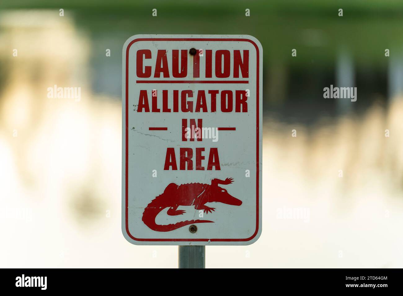 Warning sign about alligator in water in Florida park. Caution and ...