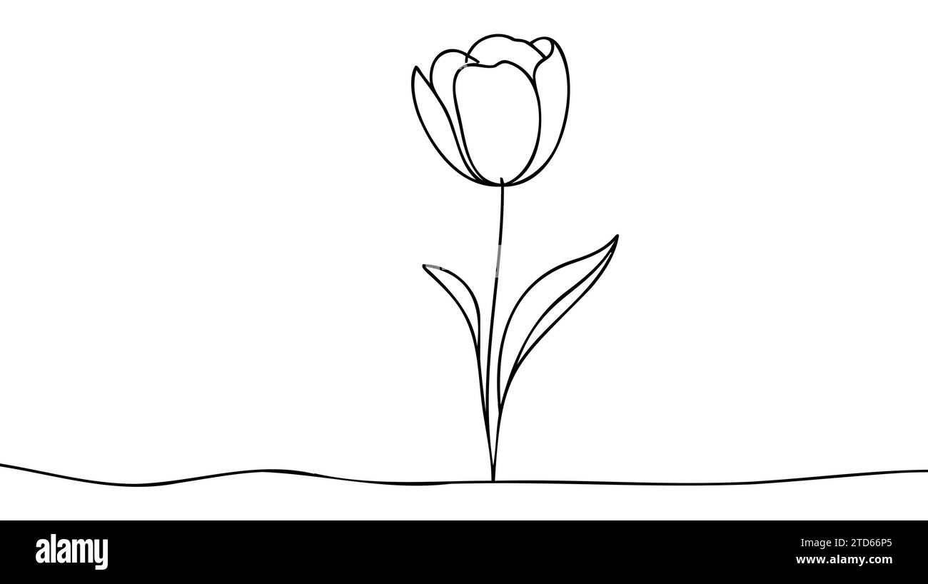 Tulip one line drawing.Abstract flower continuous line. Minimalist ...