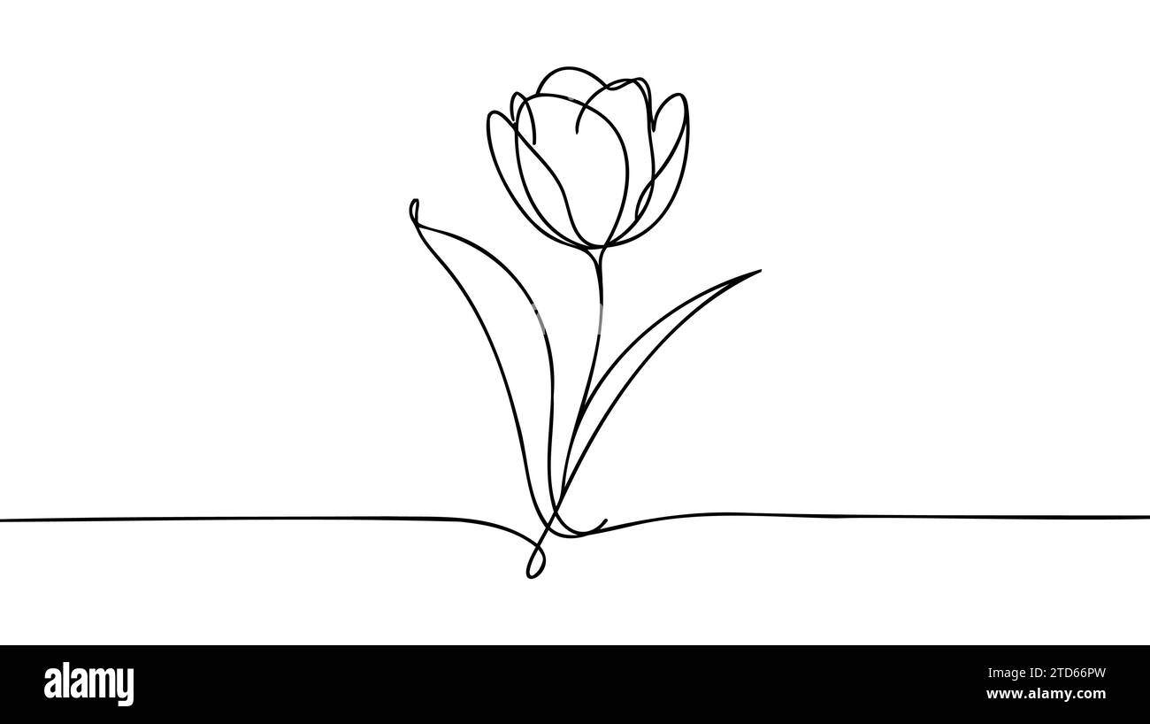 Tulip one line drawing.Abstract flower continuous line. Minimalist ...