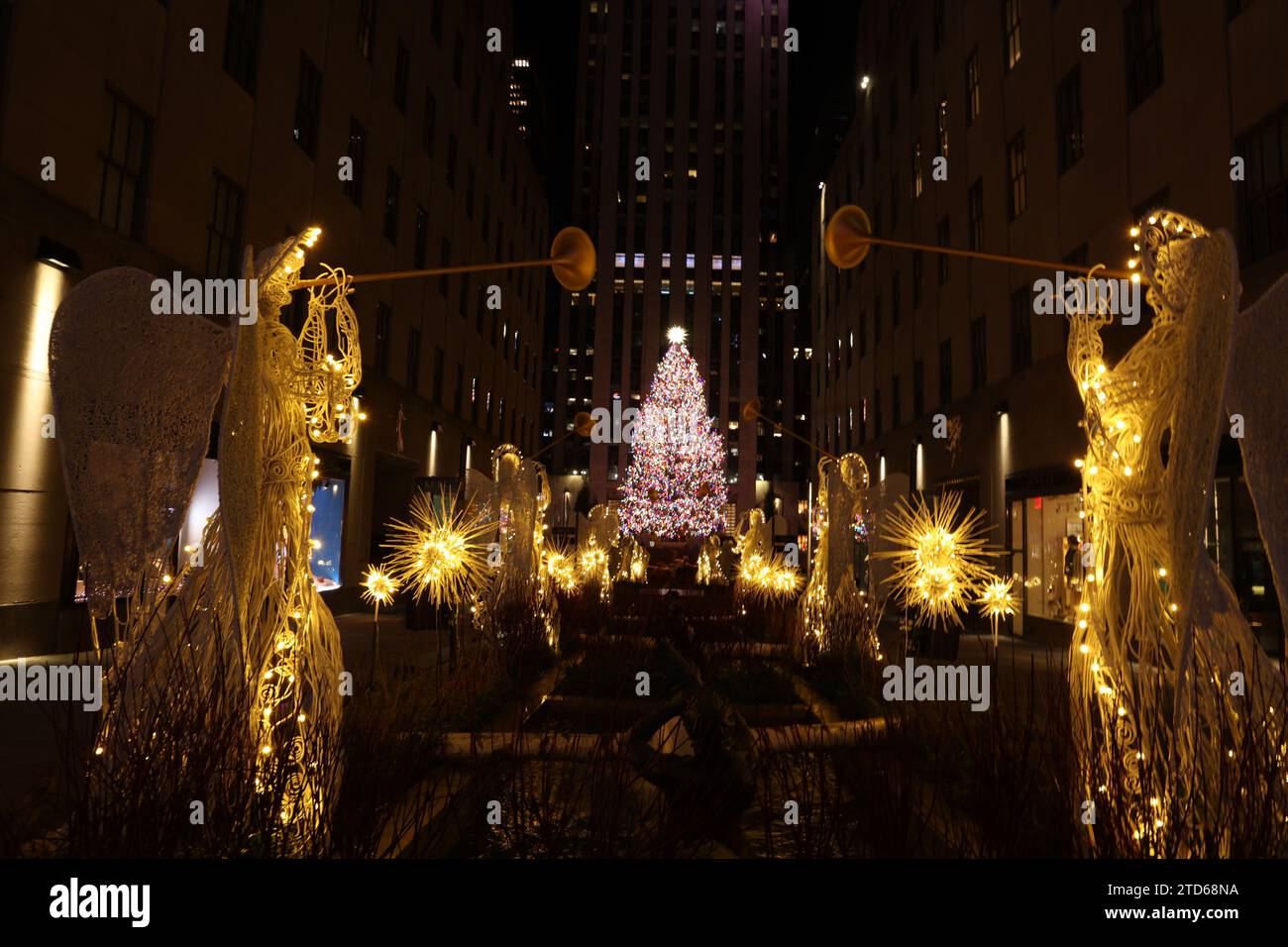 The Rockefeller Christmas Center Tree in New York City, New York on ...
