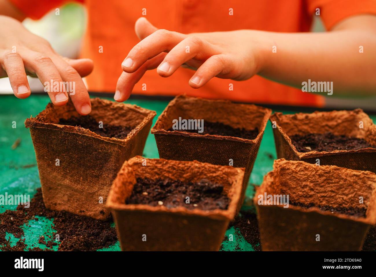 Close-up child's hands planting seeds. Nature and Education. Practical ...