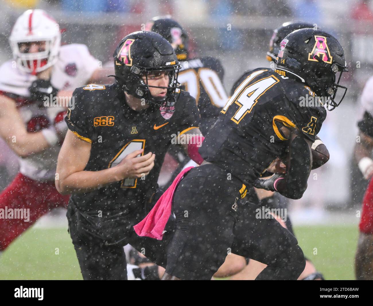 Rtg20231216 0067 jpg hi-res stock photography and images - Alamy