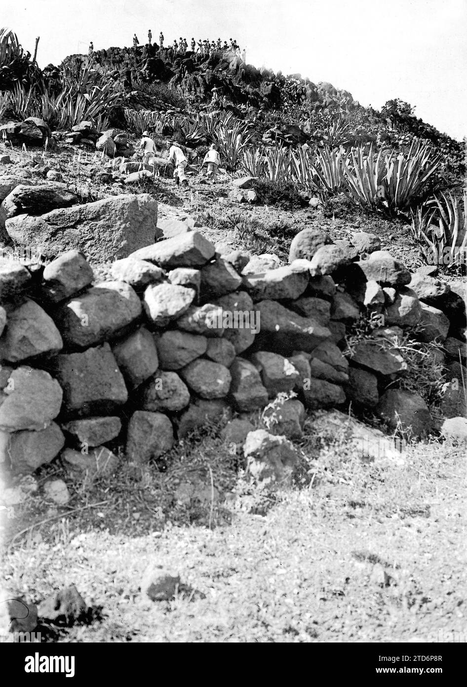 09/30/1909. Photograph of our Special Envoy, Mr. Alba. The Rif campaign ...