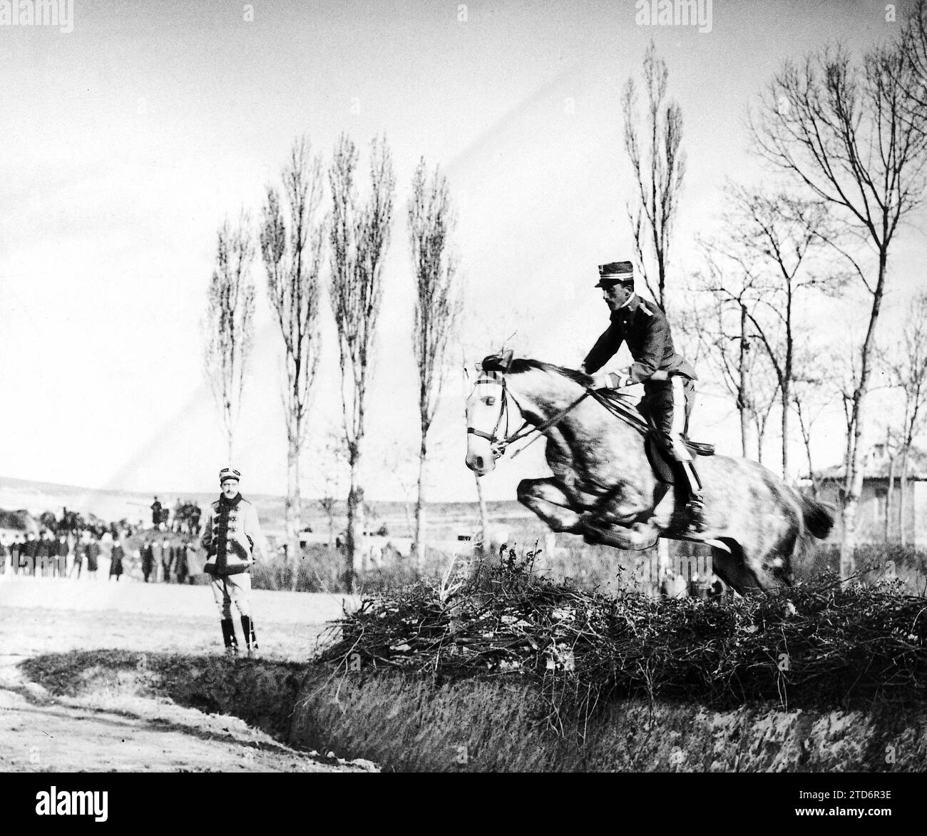 Horse jumping hedge hi-res stock photography and images - Alamy