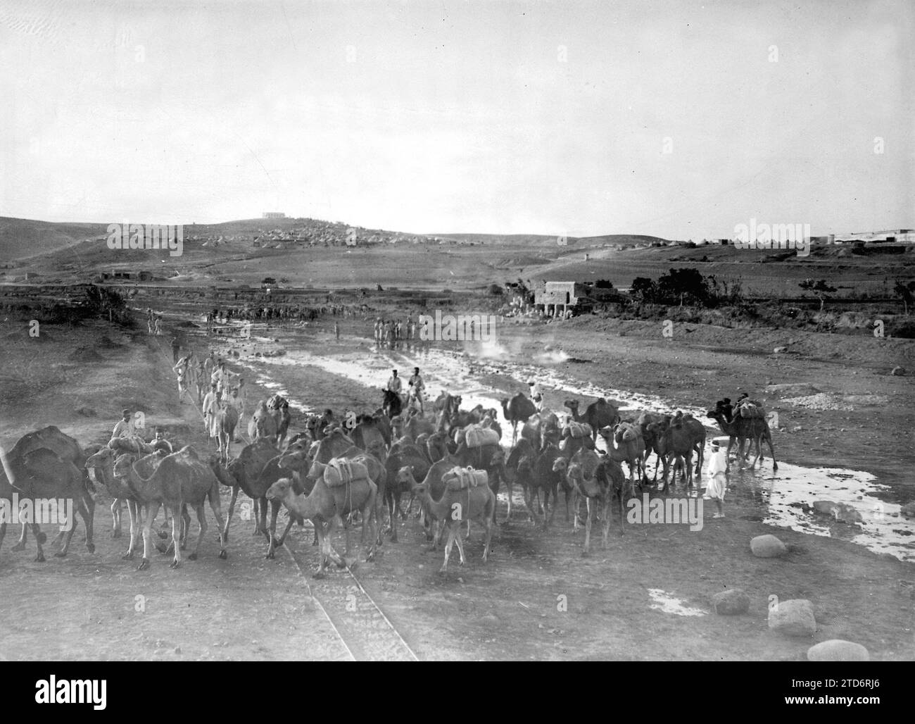 08/31/1909. Camels Providing Service. March of the Camels in the first ...