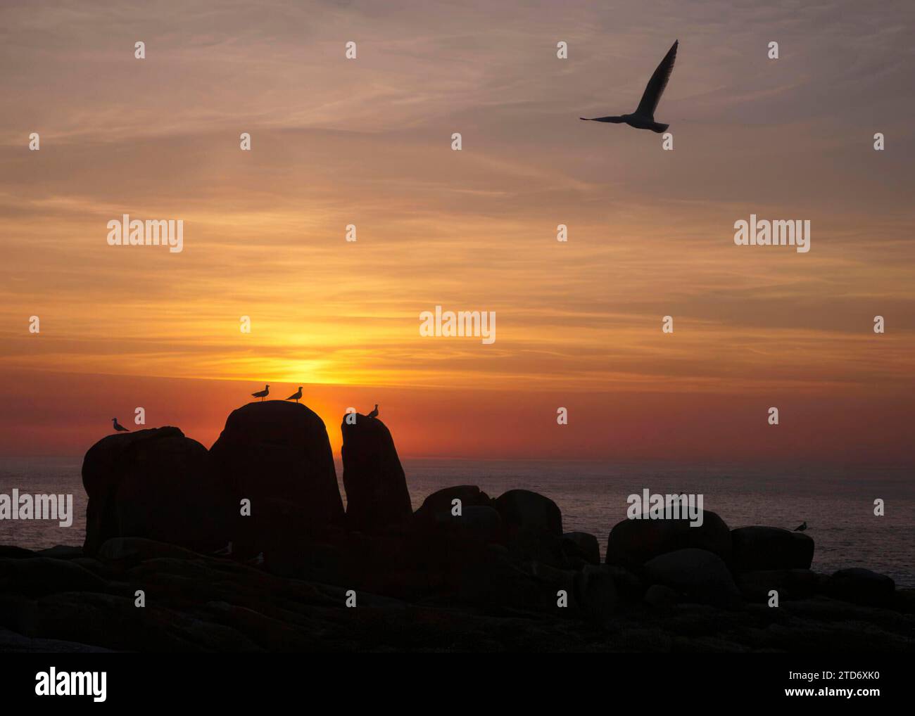 Salvora island hi-res stock photography and images - Alamy