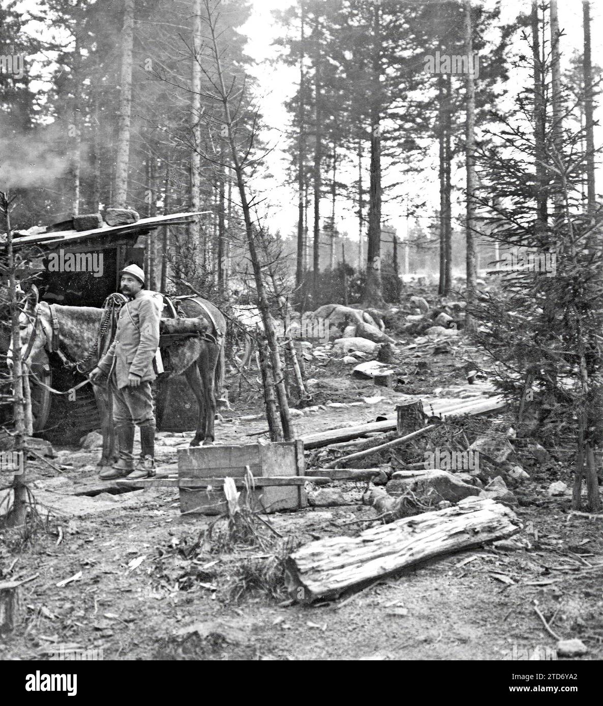 11/30/1917. On the Alsatian border. Improvised Coat for French Mule ...