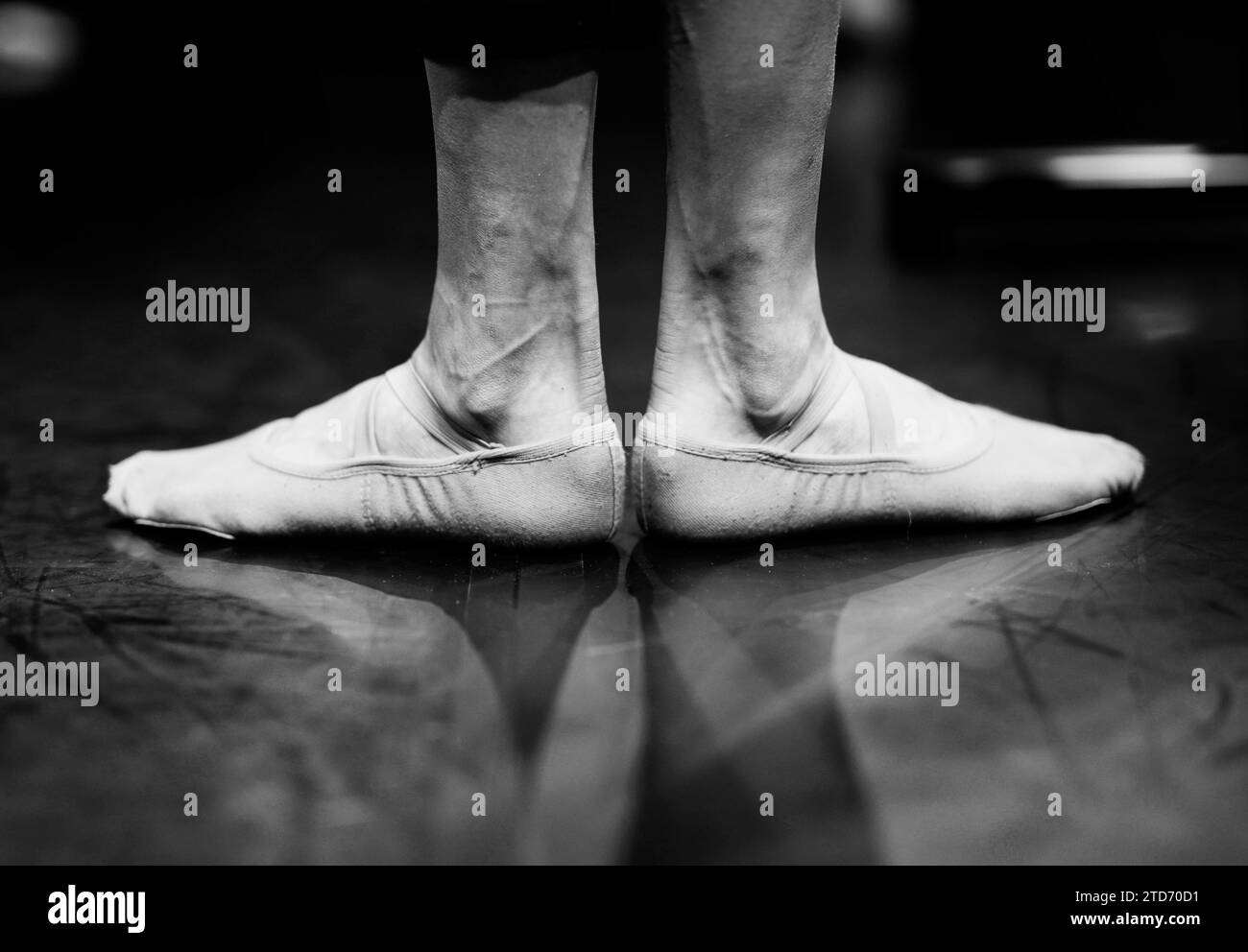Ballet dancer's feet Stock Photo - Alamy