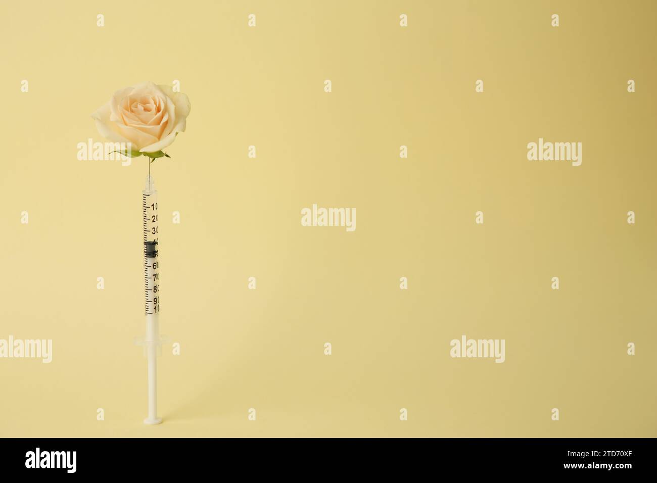 Medical syringe and rose flower on pale yellow background. Space for ...