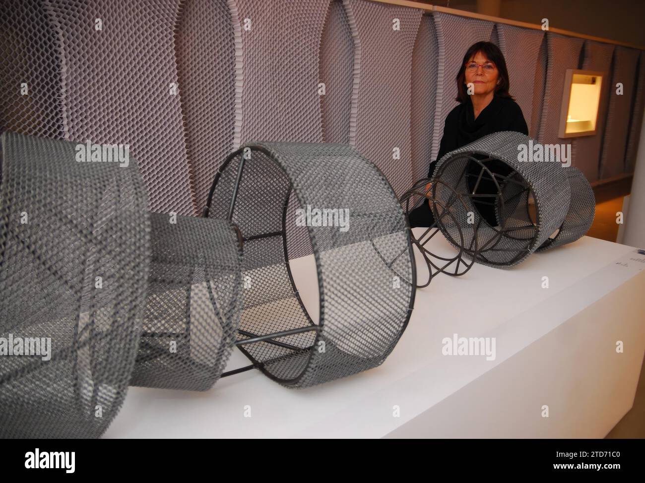 Madrid, 04/10/2007. Museums ICO collections. The sculptor Susana Solano ...