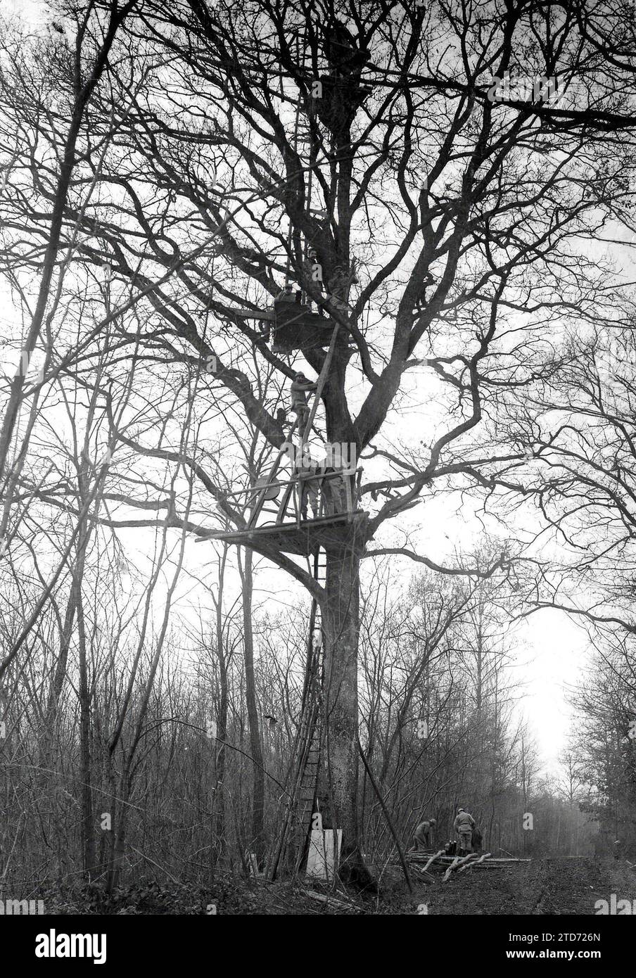02/28/1917. In the Argona region. A French observation post among the ...