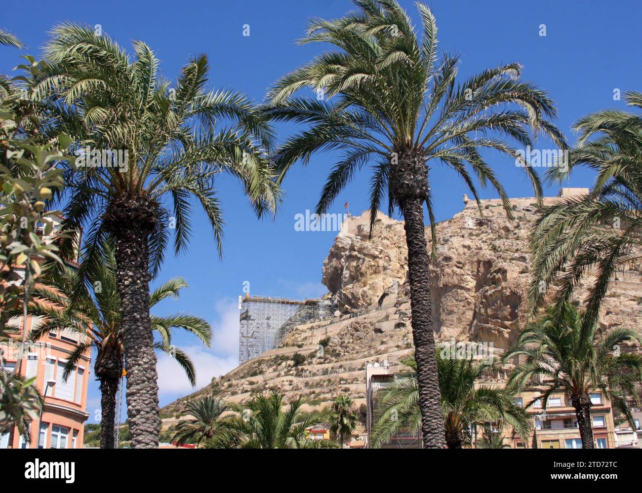Cara del moro hi-res stock photography and images - Alamy