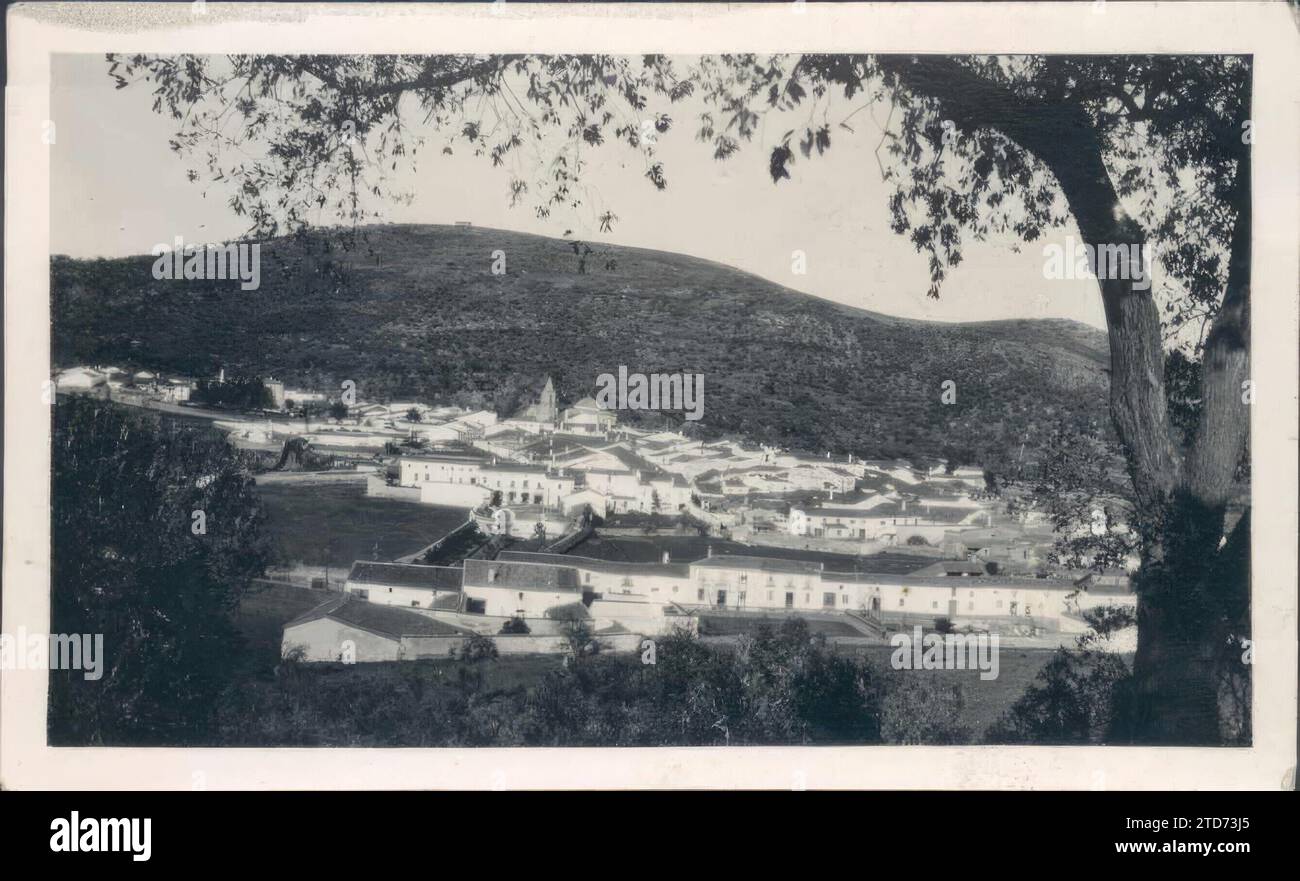 12/31/1929. Panoramic view of the Sierra fig tree (Huelva). Credit ...