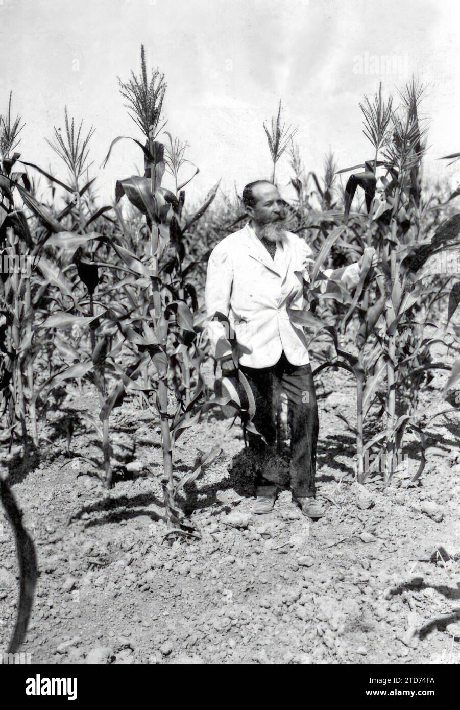 Miguel sánchez dalp hi-res stock photography and images - Alamy