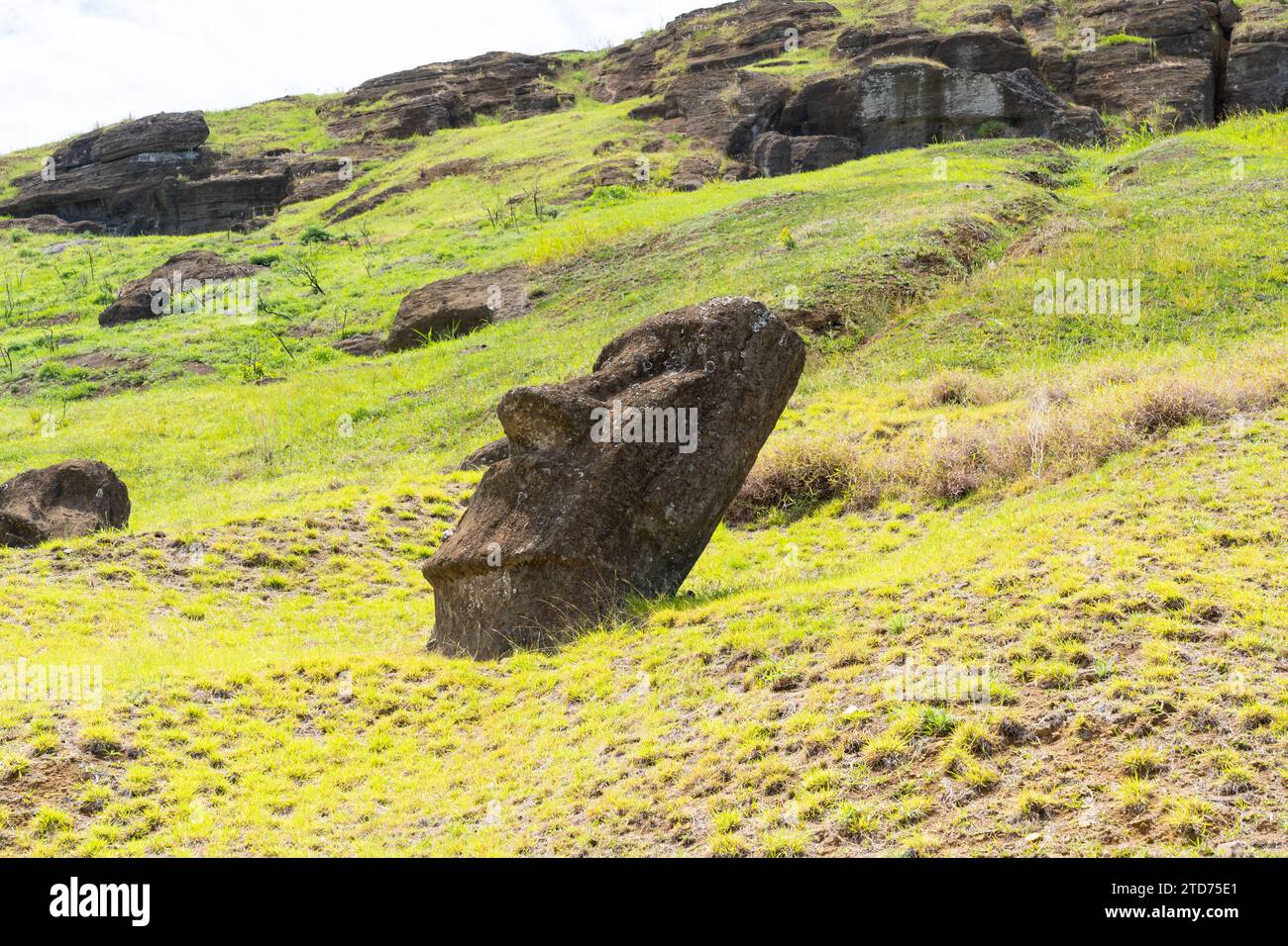 Moai heads on the slope of Rano Raraku on Easter Island (Rapa Nui ...
