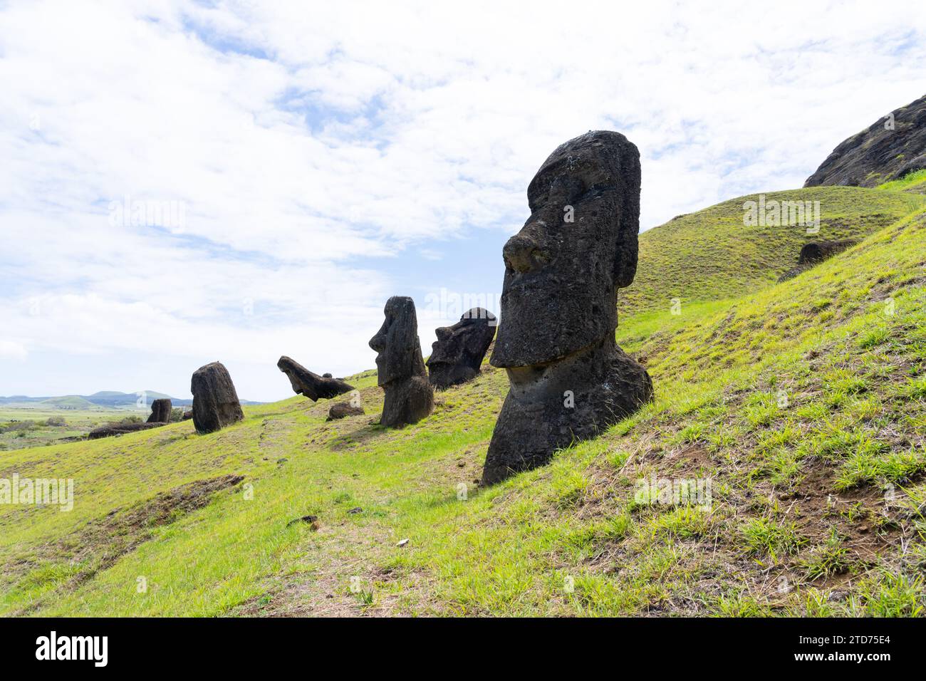 Moai heads on the slope of Rano Raraku on Easter Island (Rapa Nui ...